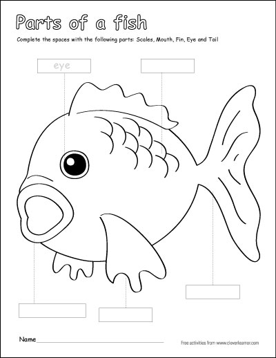 Label And Color The Parts Of A Fish