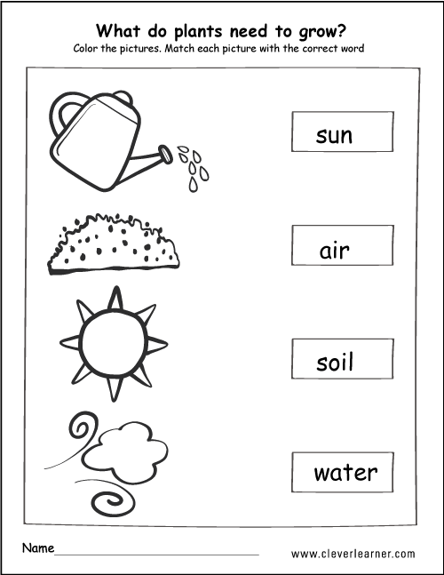 What Do Plants Need To Grow Worksheet Uploadest